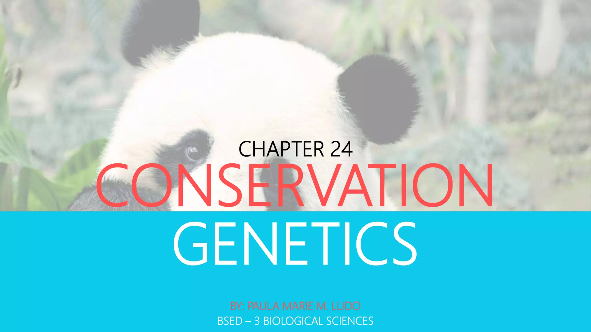 Genetics Chapter 24:Conservation Genetics | PPTX