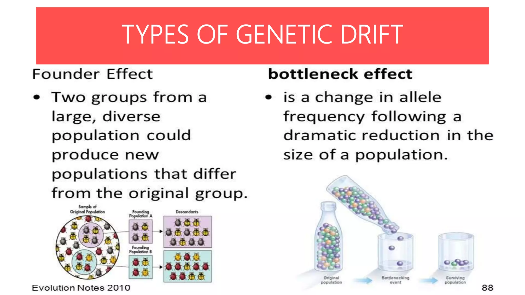 Genetics Chapter 24:Conservation Genetics | PPTX