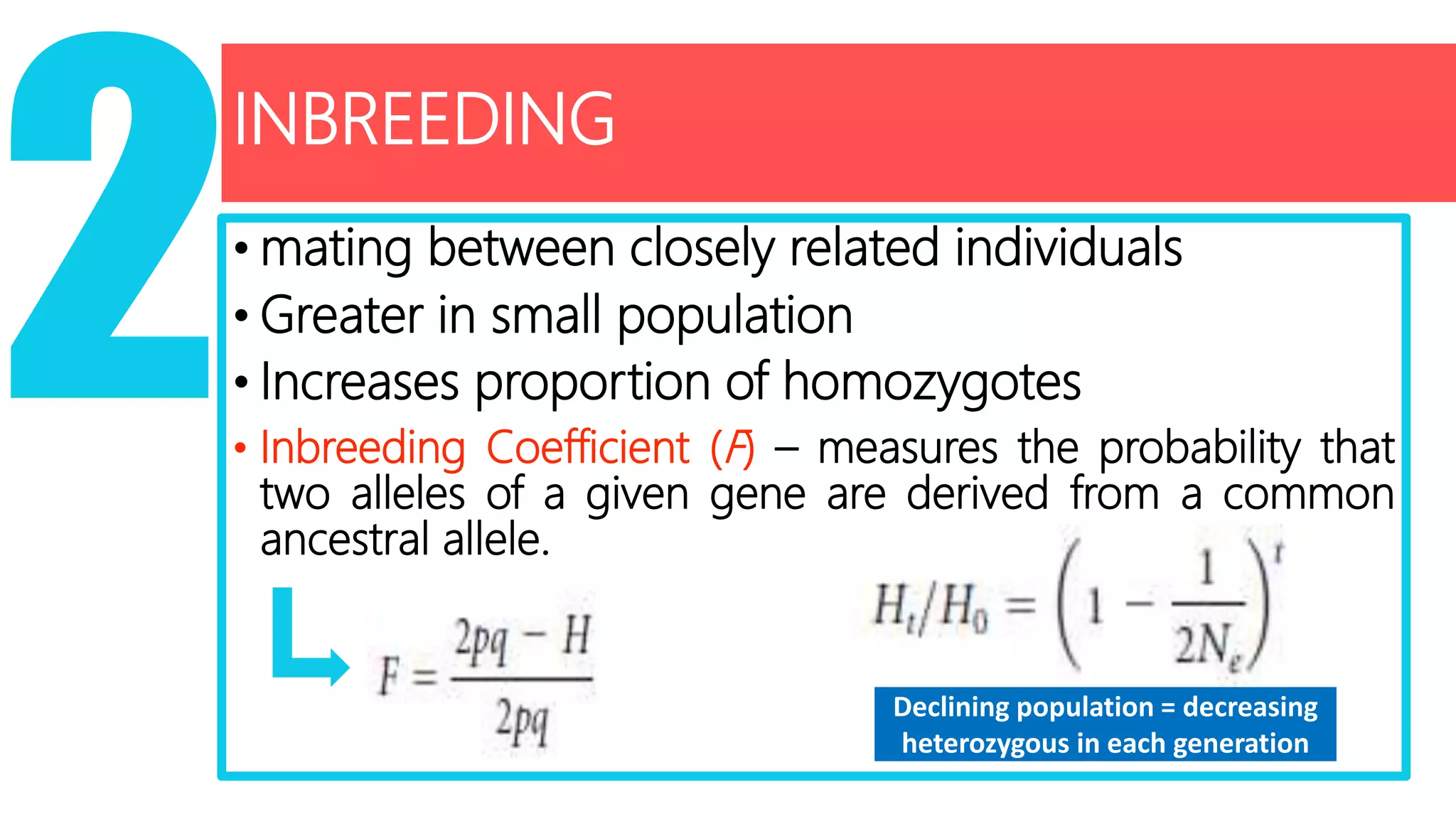 Genetics Chapter 24:Conservation Genetics | PPTX
