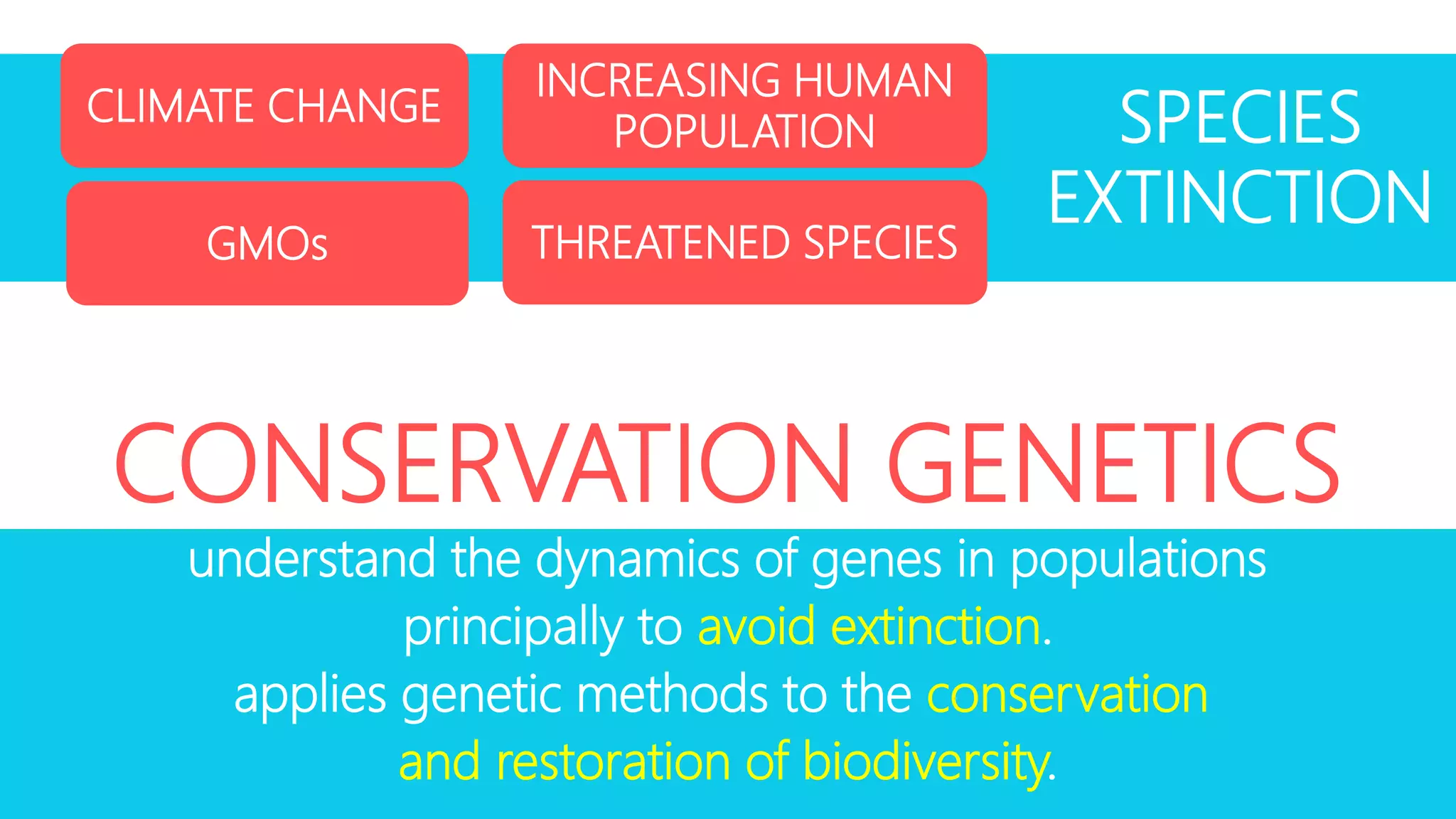 Genetics Chapter 24:Conservation Genetics | PPTX