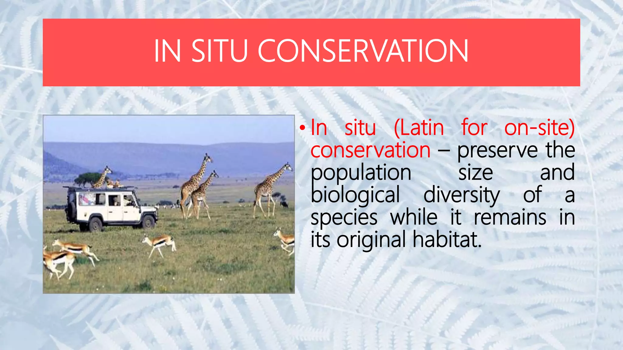 Genetics Chapter 24:Conservation Genetics | PPTX