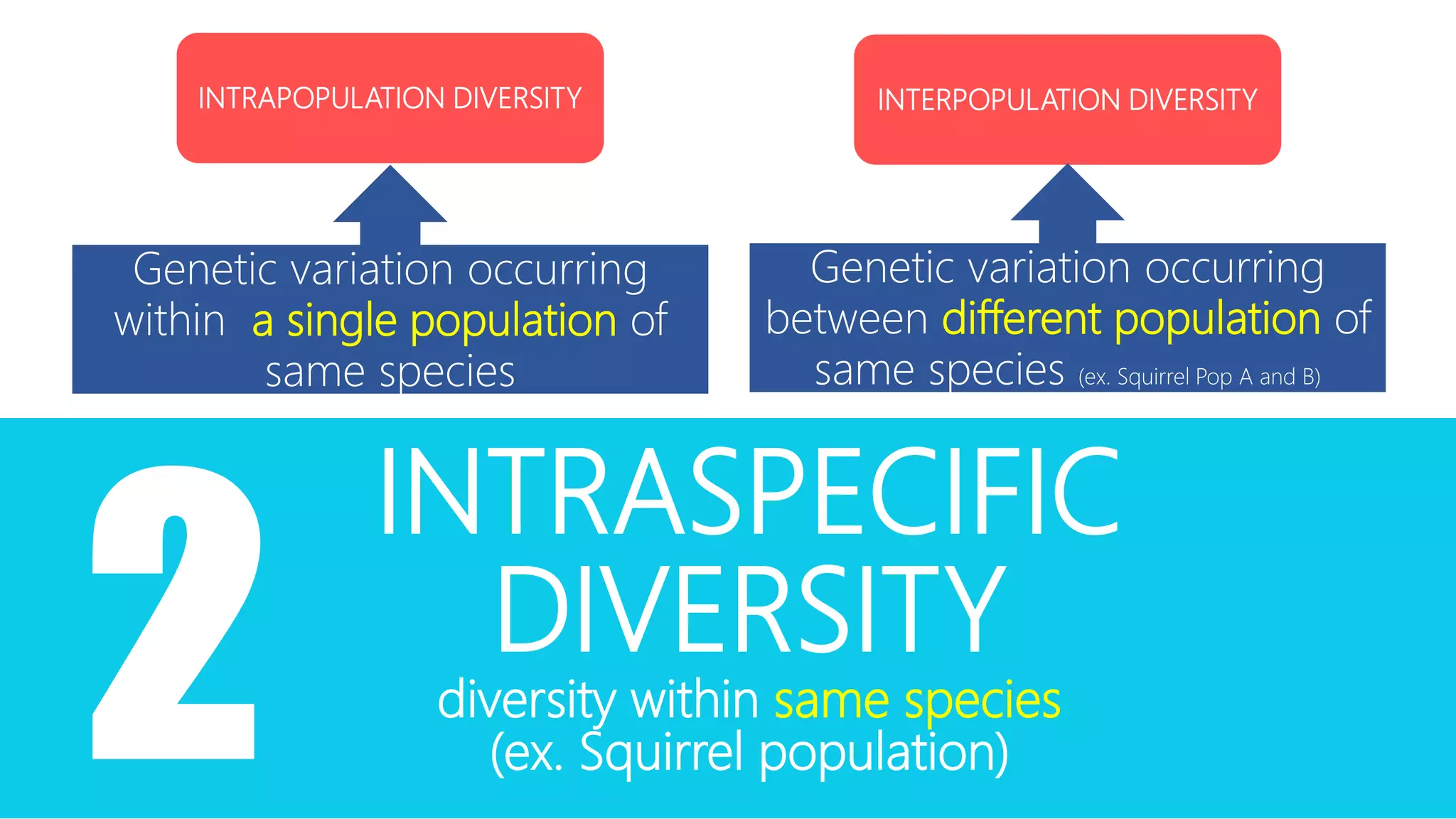Genetics Chapter 24:Conservation Genetics | PPTX