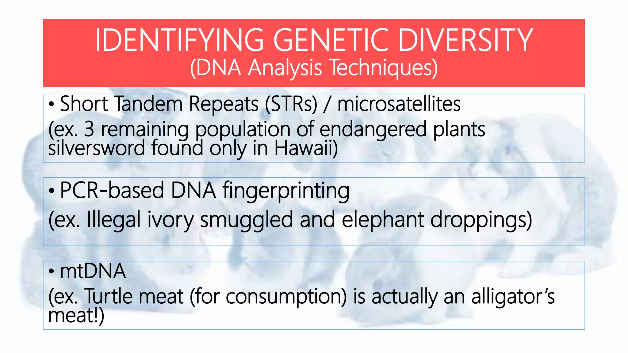 Genetics Chapter 24:Conservation Genetics | PPTX