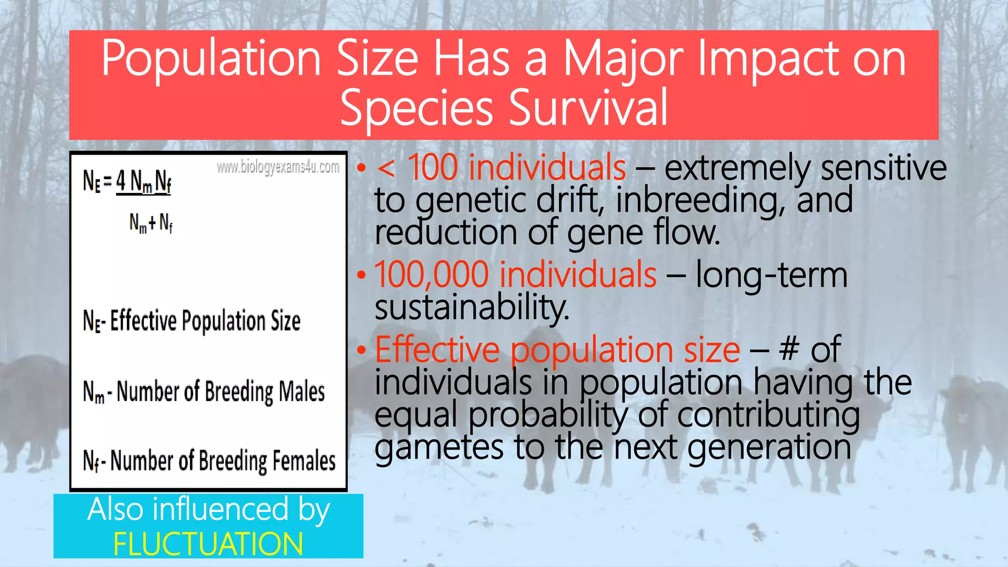 Genetics Chapter 24:Conservation Genetics | PPTX