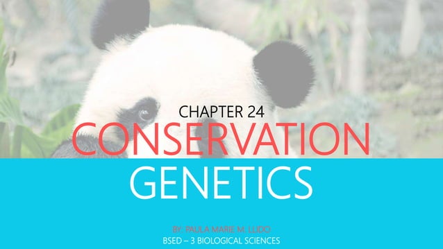 Genetics Chapter 24:Conservation Genetics | PPTX | Genetics | Science
