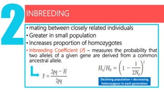 Genetics Chapter 24:Conservation Genetics | PPTX