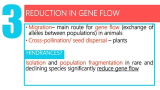 Genetics Chapter 24:Conservation Genetics | PPTX