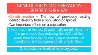 Genetics Chapter 24:Conservation Genetics | PPTX