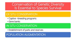 Genetics Chapter 24:Conservation Genetics | PPTX