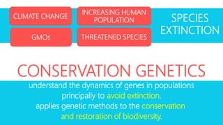 Genetics Chapter 24:Conservation Genetics | PPTX