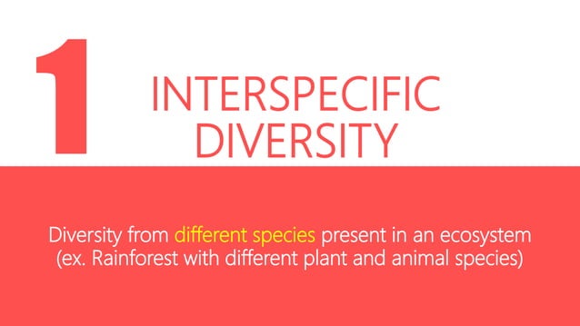 Genetics Chapter 24:Conservation Genetics | PPTX | Genetics | Science
