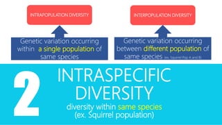 Genetics Chapter 24:Conservation Genetics | PPTX