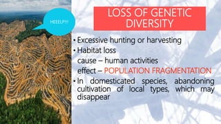 Genetics Chapter 24:Conservation Genetics | PPTX