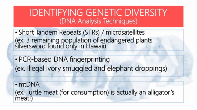 Genetics Chapter 24:Conservation Genetics | PPTX | Genetics | Science