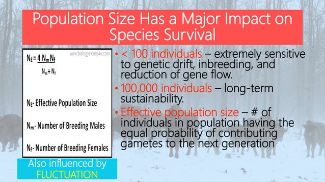 Genetics Chapter 24:Conservation Genetics | PPTX | Genetics | Science