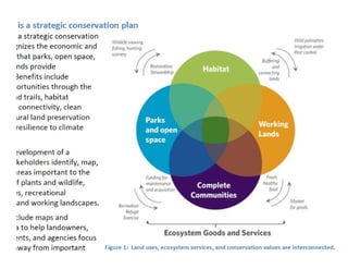 Conservation Greenprints | PDF