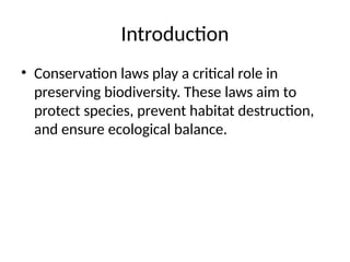 Conservation_Laws_Detailed_Presentation.pptx