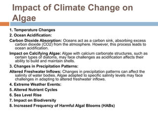 Conservation of micro and macro algal species | PPTX