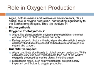 Conservation of micro and macro algal species | PPT