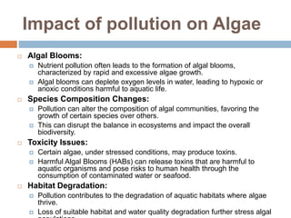 Conservation of micro and macro algal species | PPT
