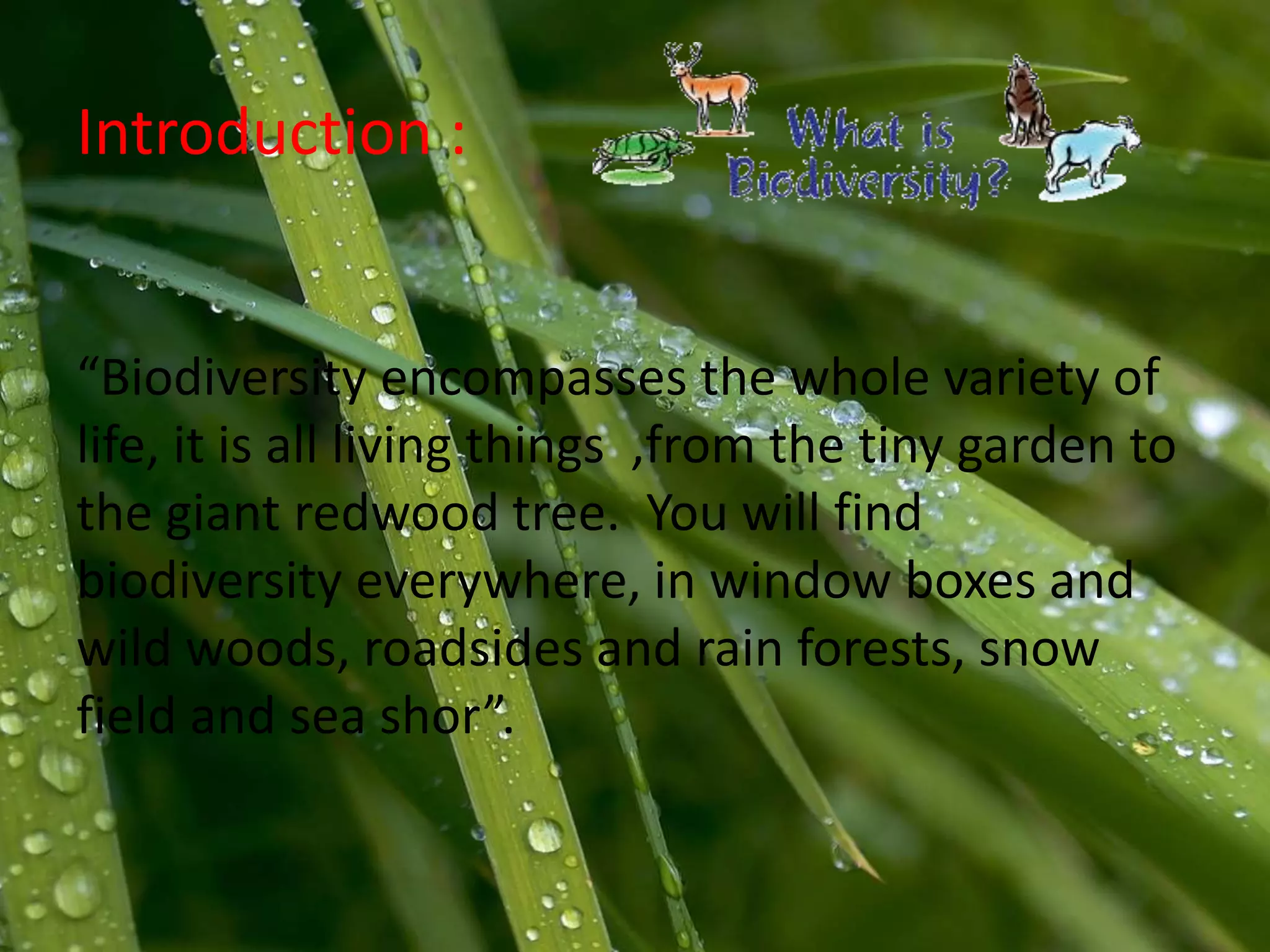 Conservation of biodiversity | PPT