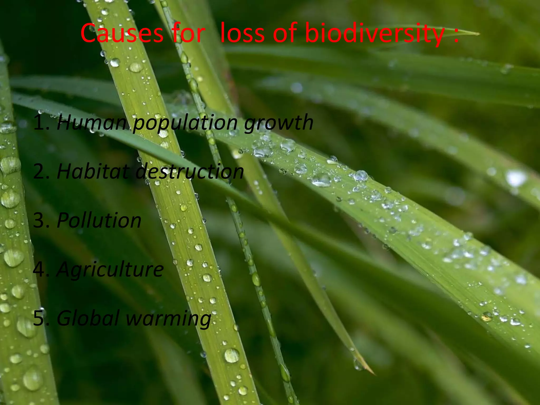 Conservation of biodiversity | PPSX