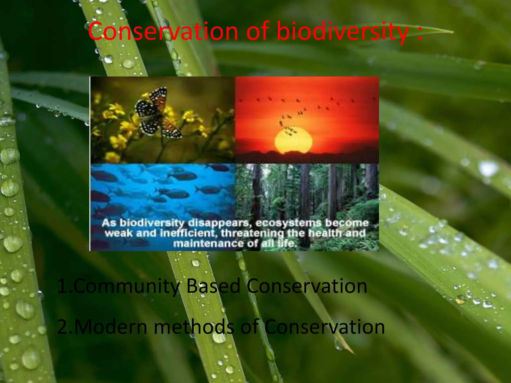 Conservation of biodiversity | PPT