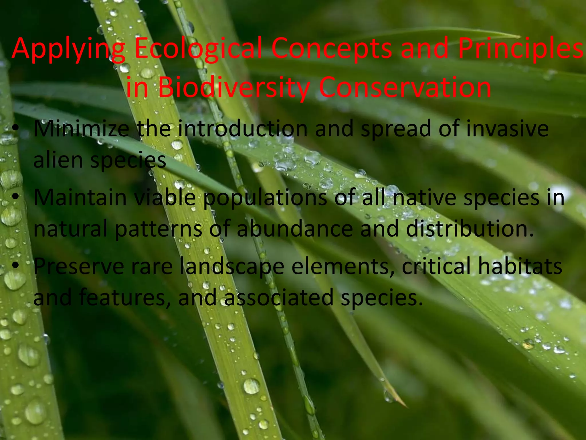 Conservation of biodiversity | PPSX