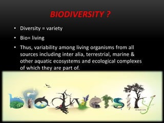 Conservation of biodiversity | PPTX