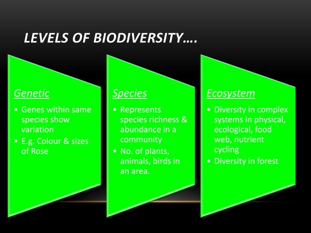 Conservation of biodiversity | PPTX