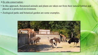 Conservation of biodiversity | PPTX