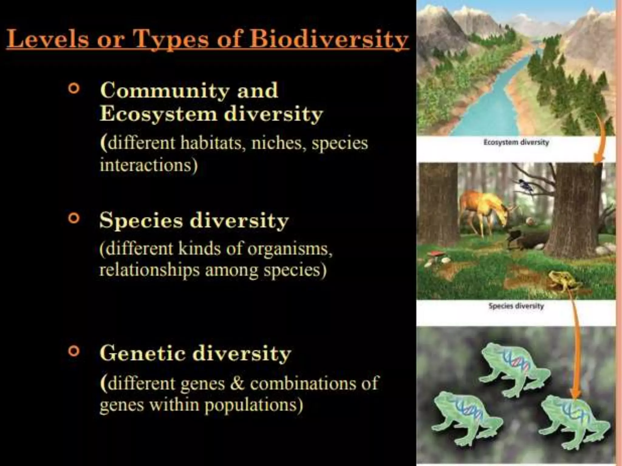 Conservation of biodiversity | PPT