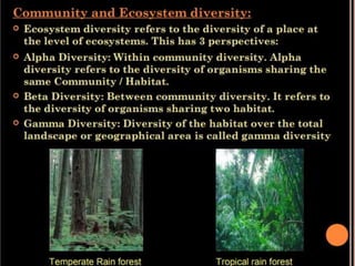 Conservation of biodiversity | PPT