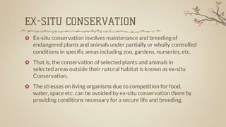 Conservation of biodiversity.pptx
