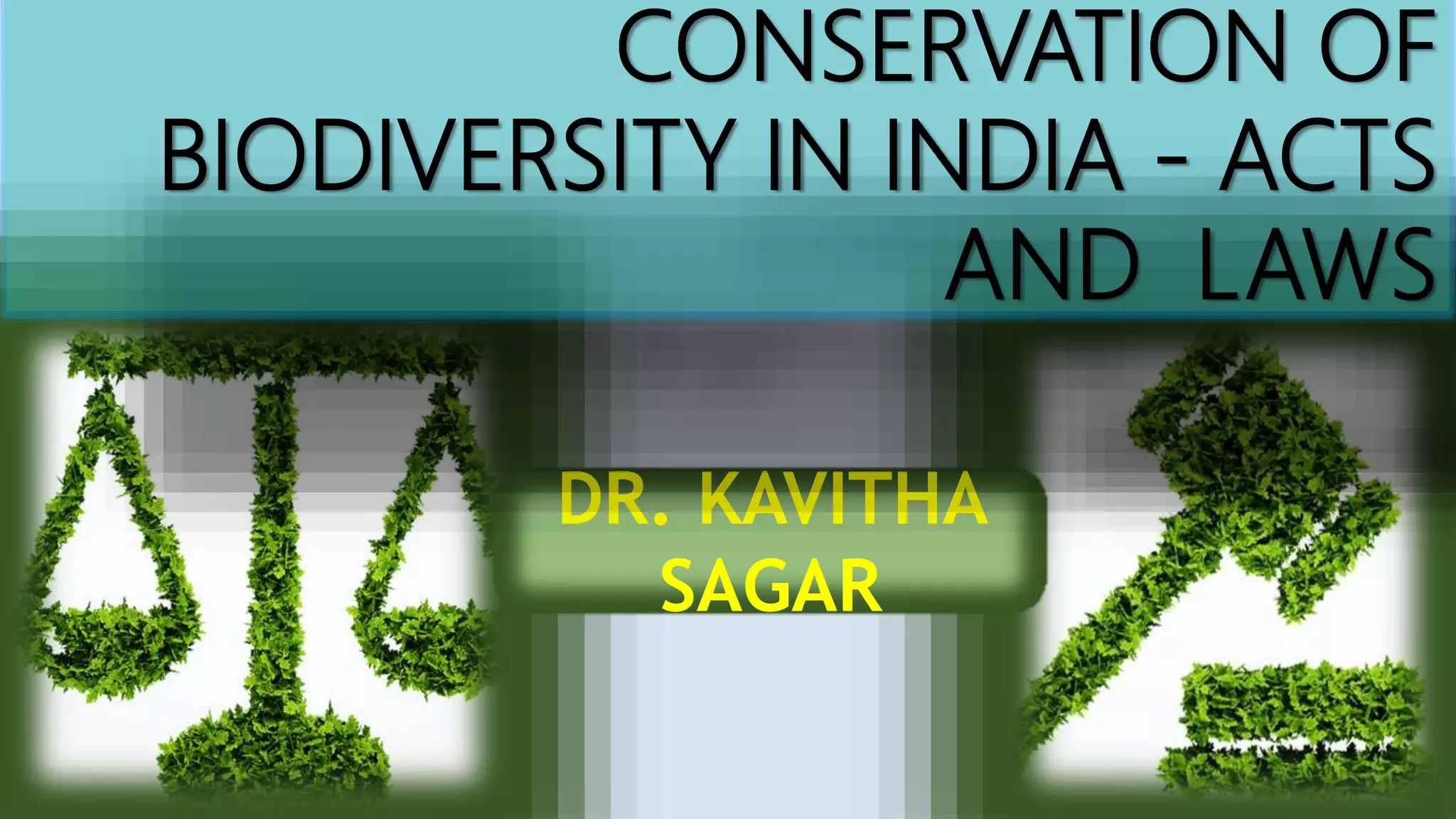 Conservation of biodiversity acts and laws...... | PPT