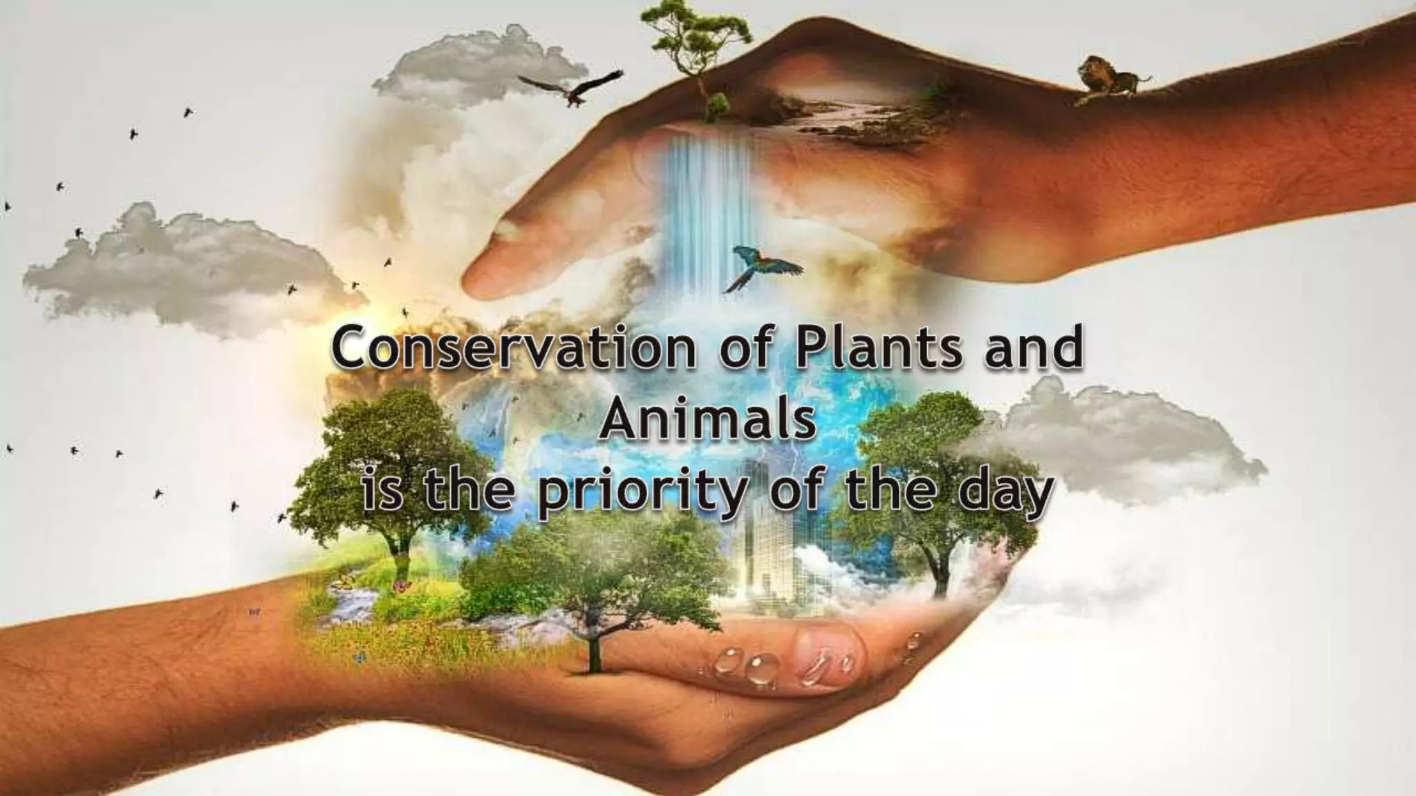 Conservation Of Biodiversity Acts And Laws Ppt Environment Science
