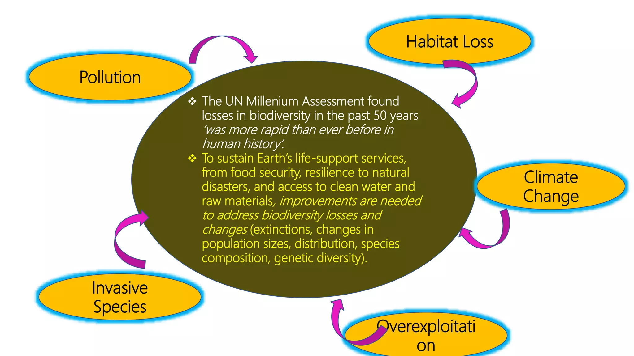 Conservation of biodiversity acts and laws...... | PPT