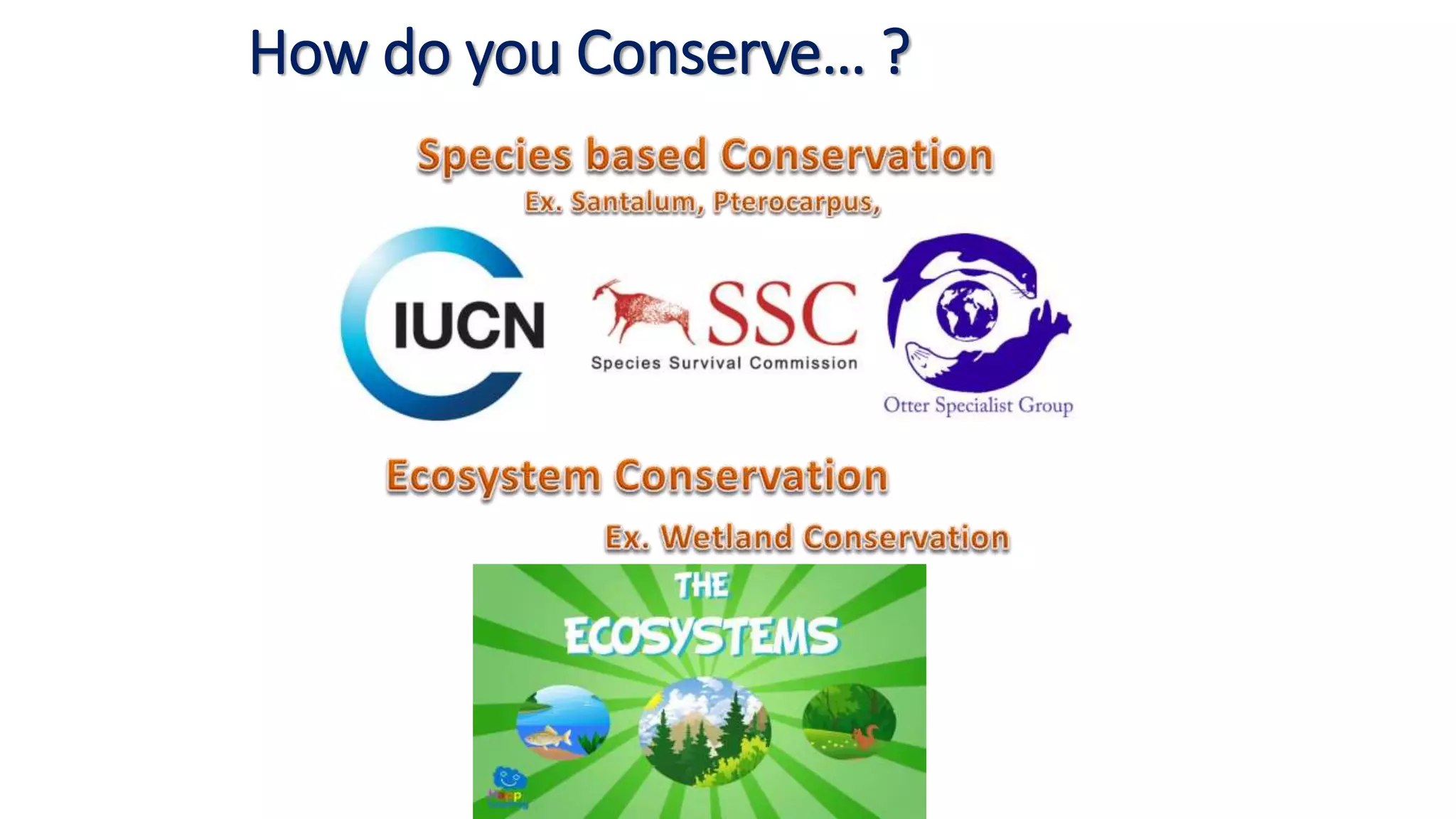 Conservation Of Biodiversity Acts And Laws Ppt Environment Science