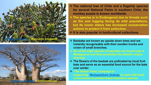 Conservation of biodiversity acts and laws...... | PPT | Environment ...