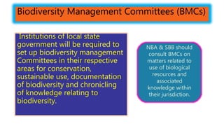 Conservation of biodiversity acts and laws...... | PPT