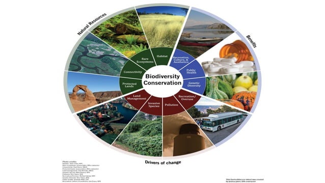 Conservation of biodiversity acts and laws...... | PPT | Environment ...