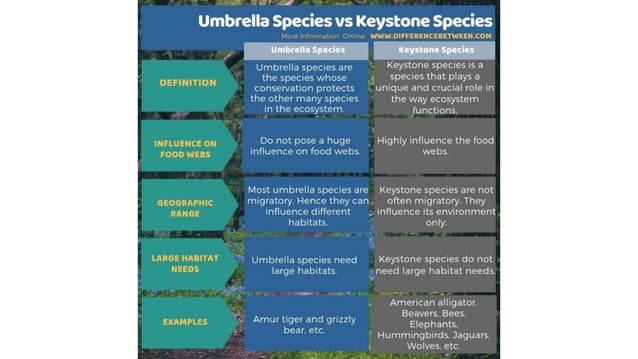 Conservation of biodiversity acts and laws...... | PPT | Environment ...