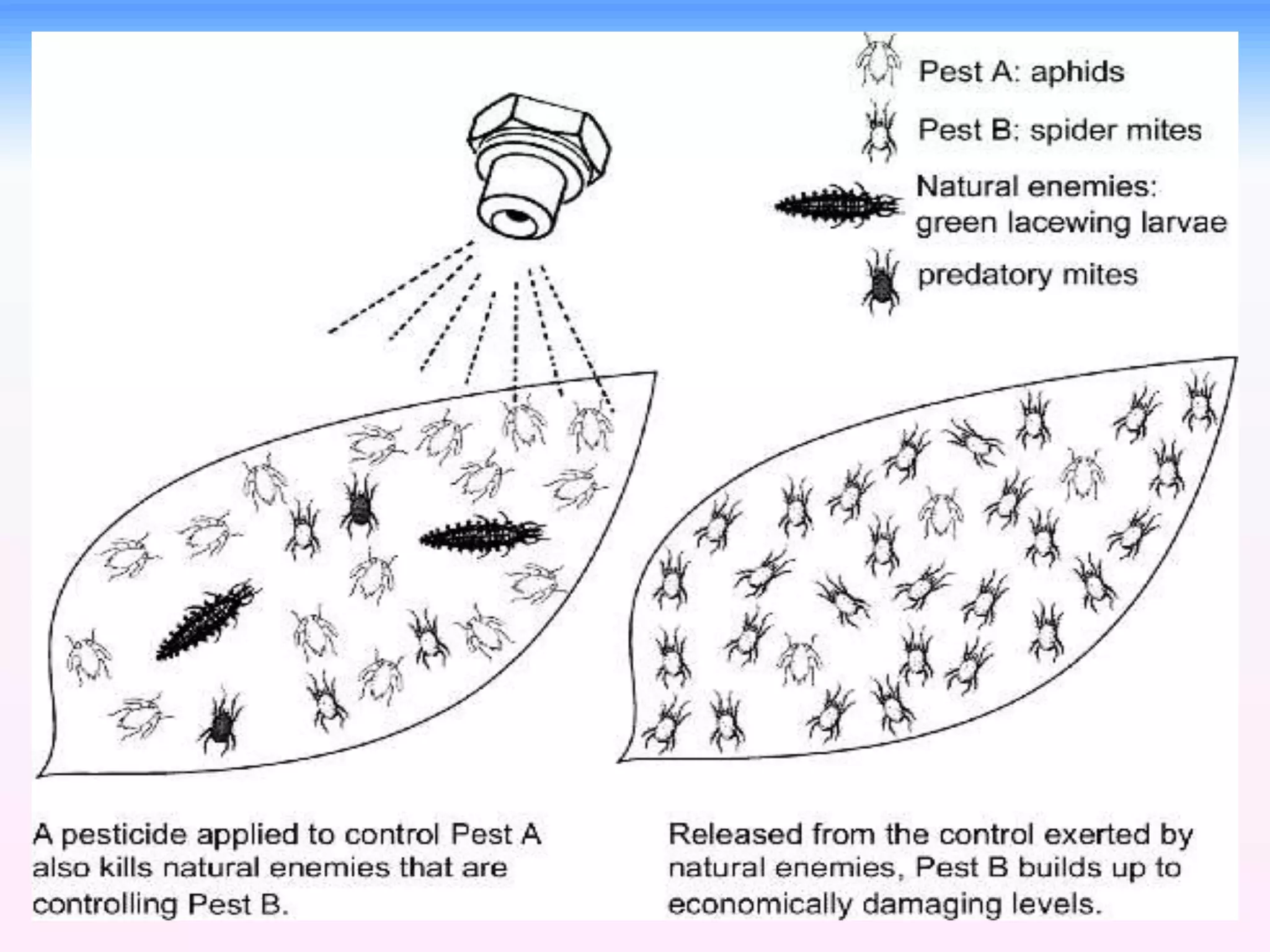Conservation of biological controls | PPTX
