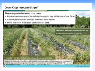 Conservation of biological controls | PPTX | Agriculture | Industries