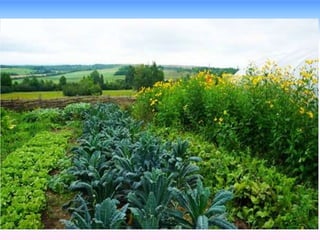 Conservation of biological controls | PPTX | Agriculture | Industries