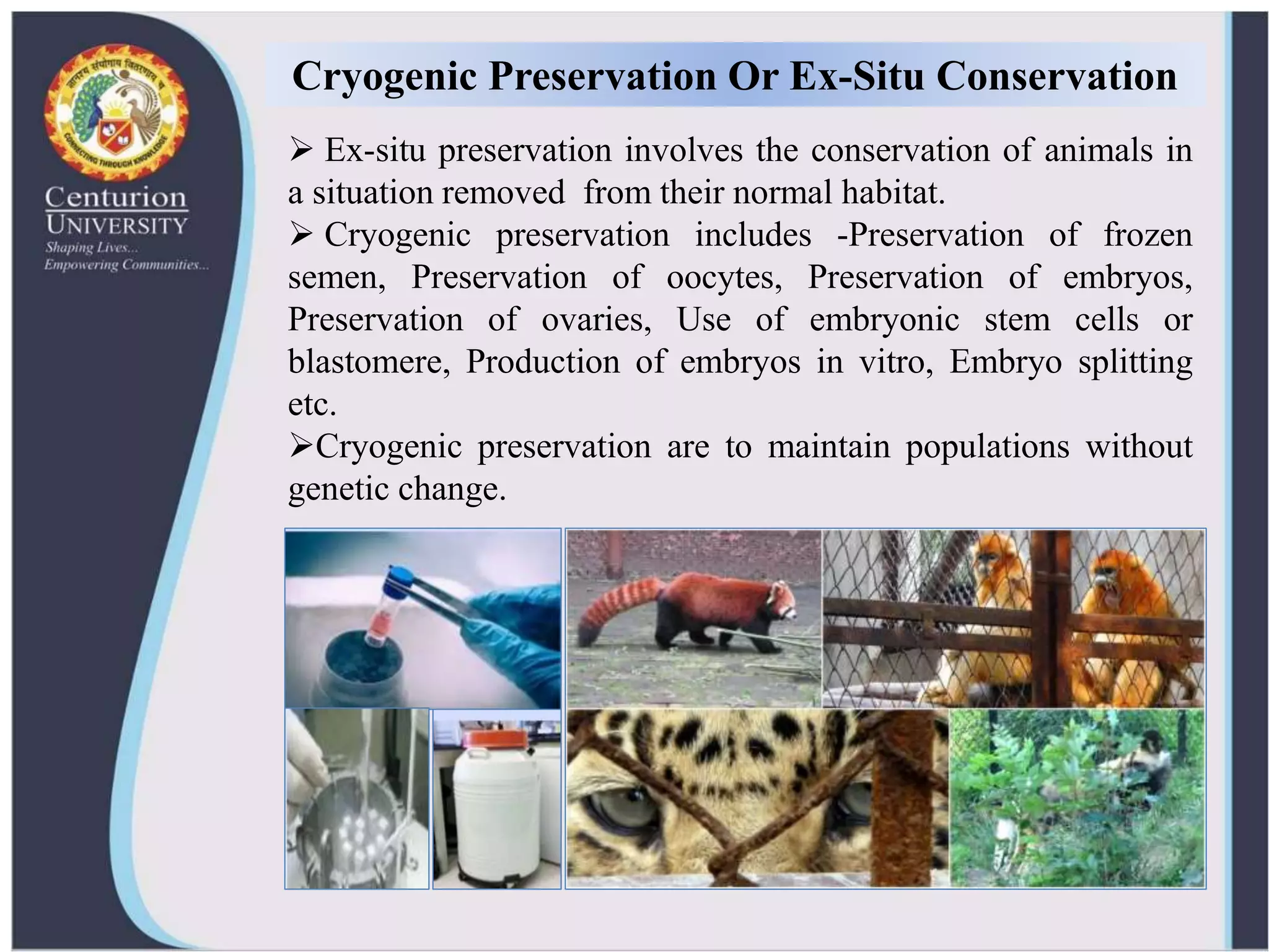 Conservation of breeds | PPTX