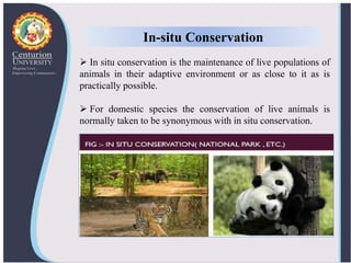 Conservation of breeds | PPTX