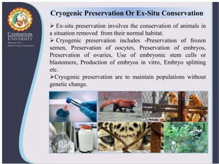 Conservation of breeds | PPTX
