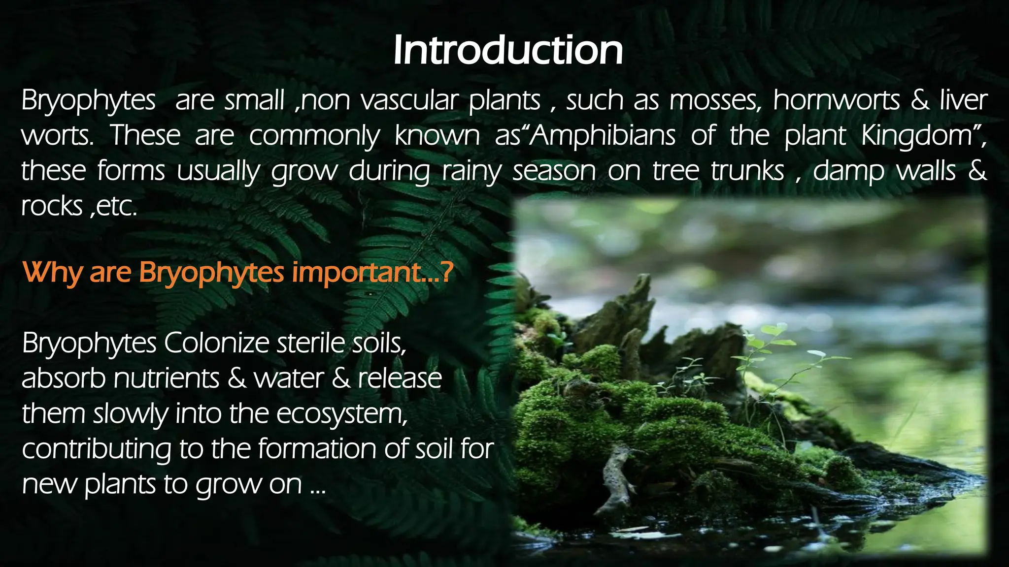 CONSERVATION OF BRYOPHYTES AND FOSSIL BRYOPHYTES | PPTX