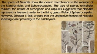 CONSERVATION OF BRYOPHYTES AND FOSSIL BRYOPHYTES | PPTX